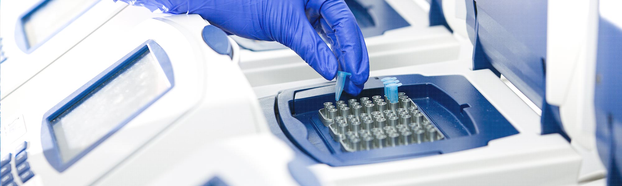 Home - Molecular Diagnostic Services